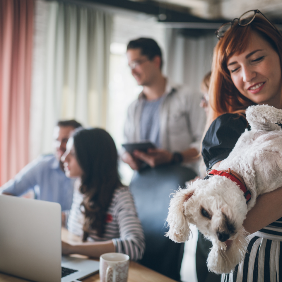 Bring your Pet-to-Work Policies - The Do’s, the Don’ts, and the ...