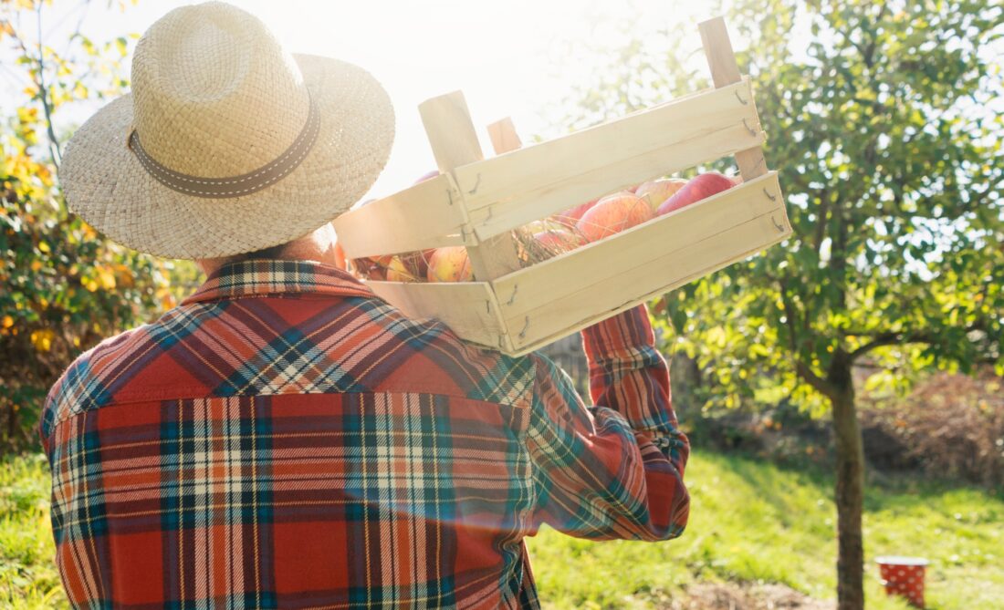 Understanding your Farm Worker ESA Exemptions in Ontario | Employment ...